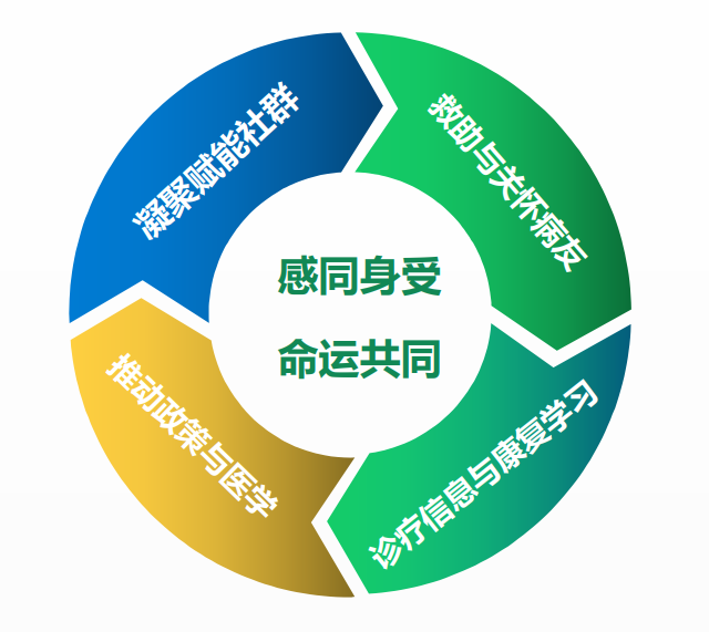 财务披露 北京爱力重症肌无力罕见病关爱中心